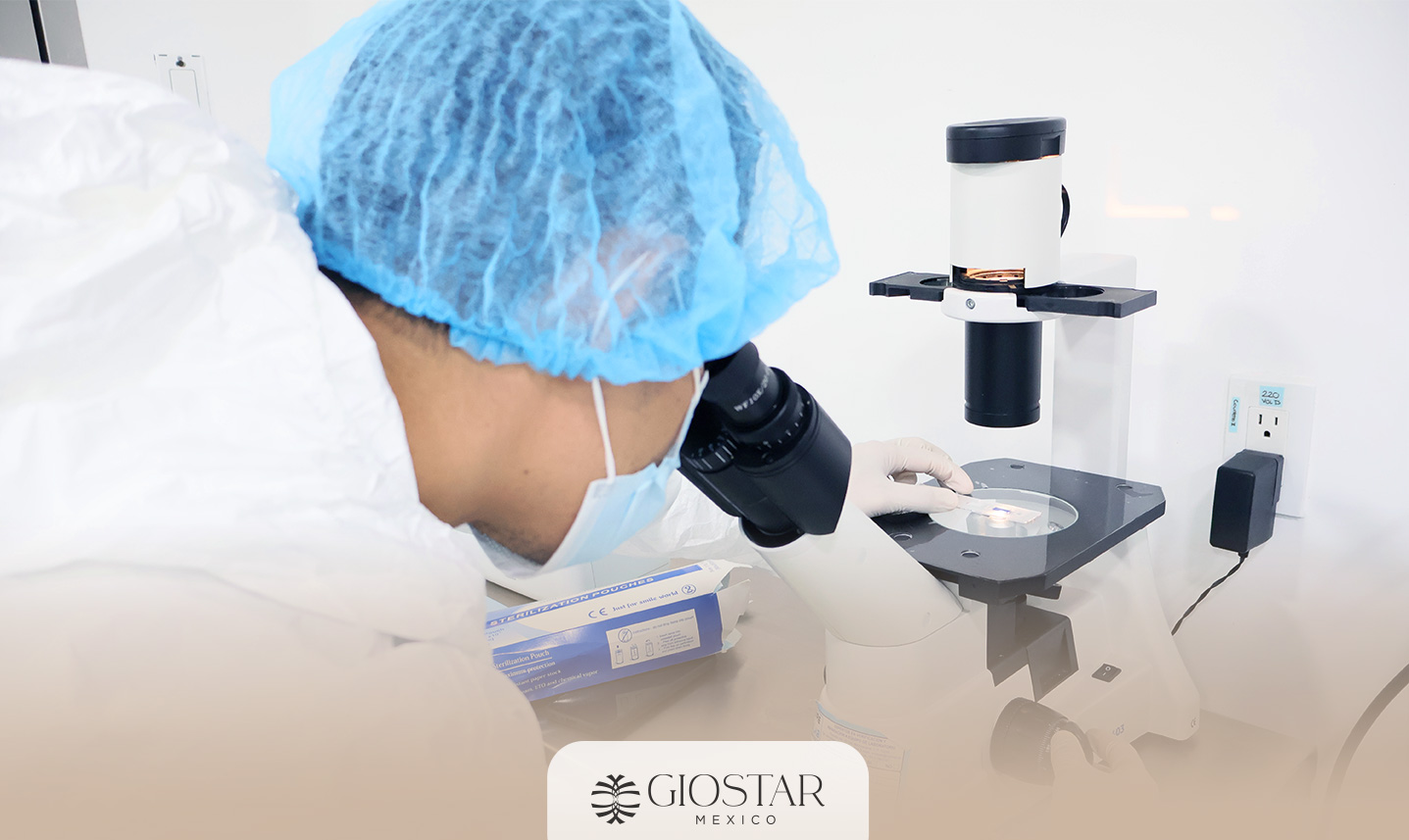Stem Cell Therapy Mexico Cost at GIOSTAR Mexico – Global Standards ...